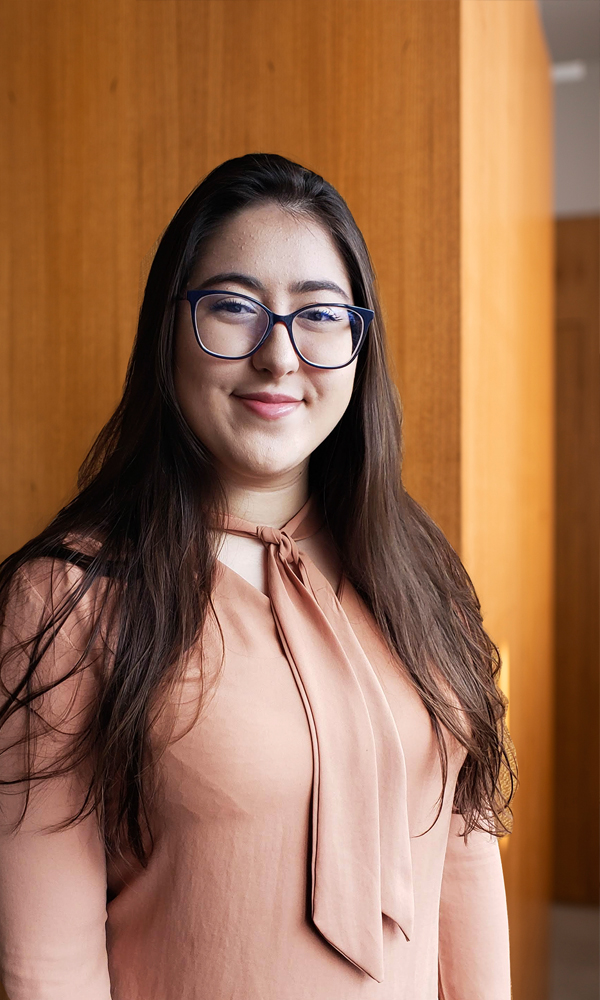 Profissionais - VLMA